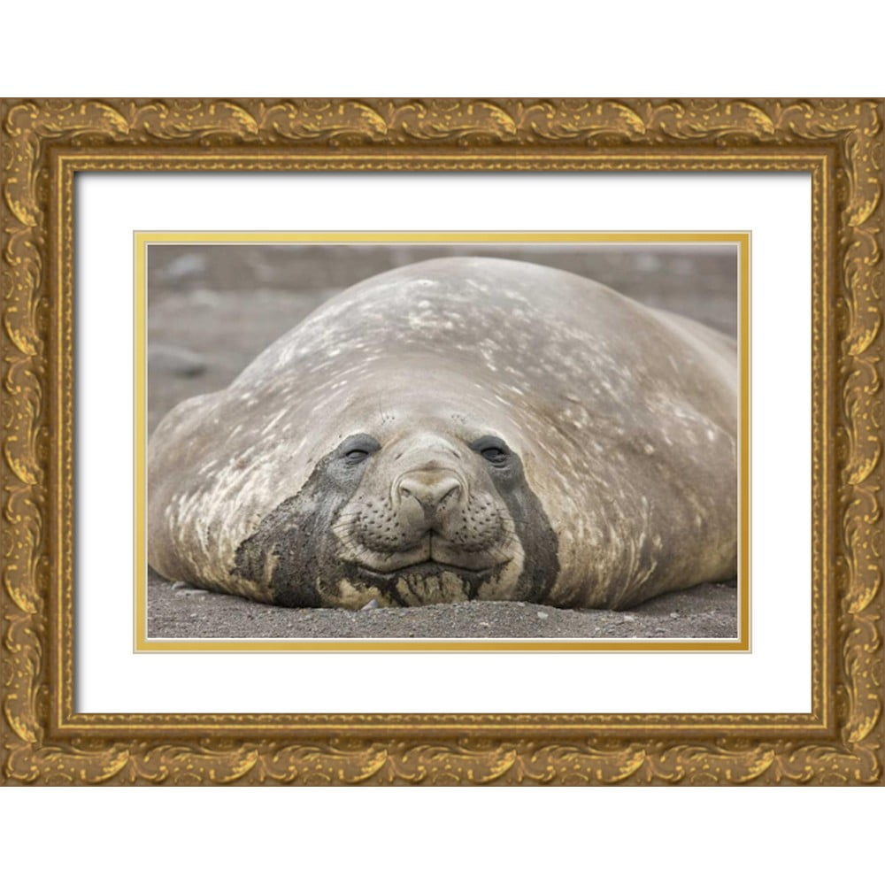 Grall, Don 14x11 Gold Ornate Wood Framed with Double Matting Museum Art ...