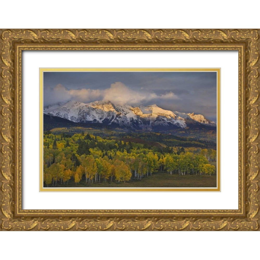 Grall, Don 14x11 Gold Ornate Wood Framed with Double Matting Museum Art ...