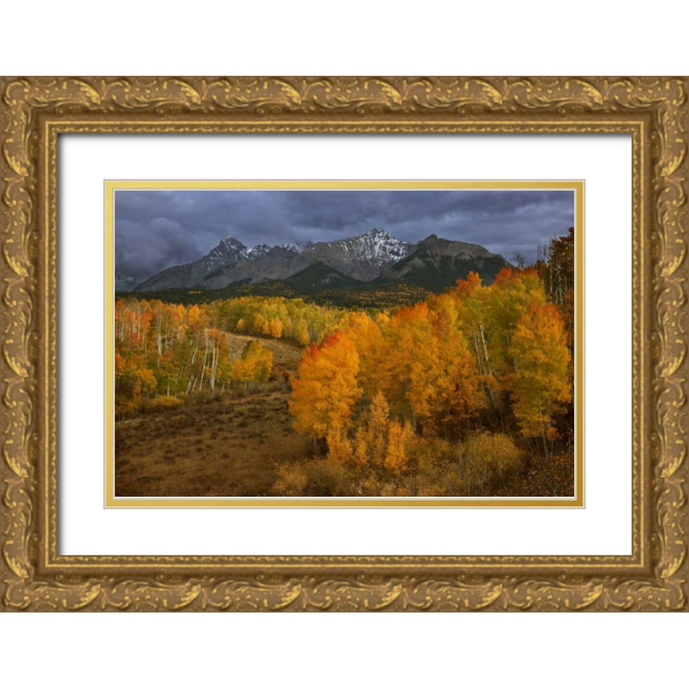 Grall, Don 14x11 Gold Ornate Wood Framed with Double Matting Museum Art ...