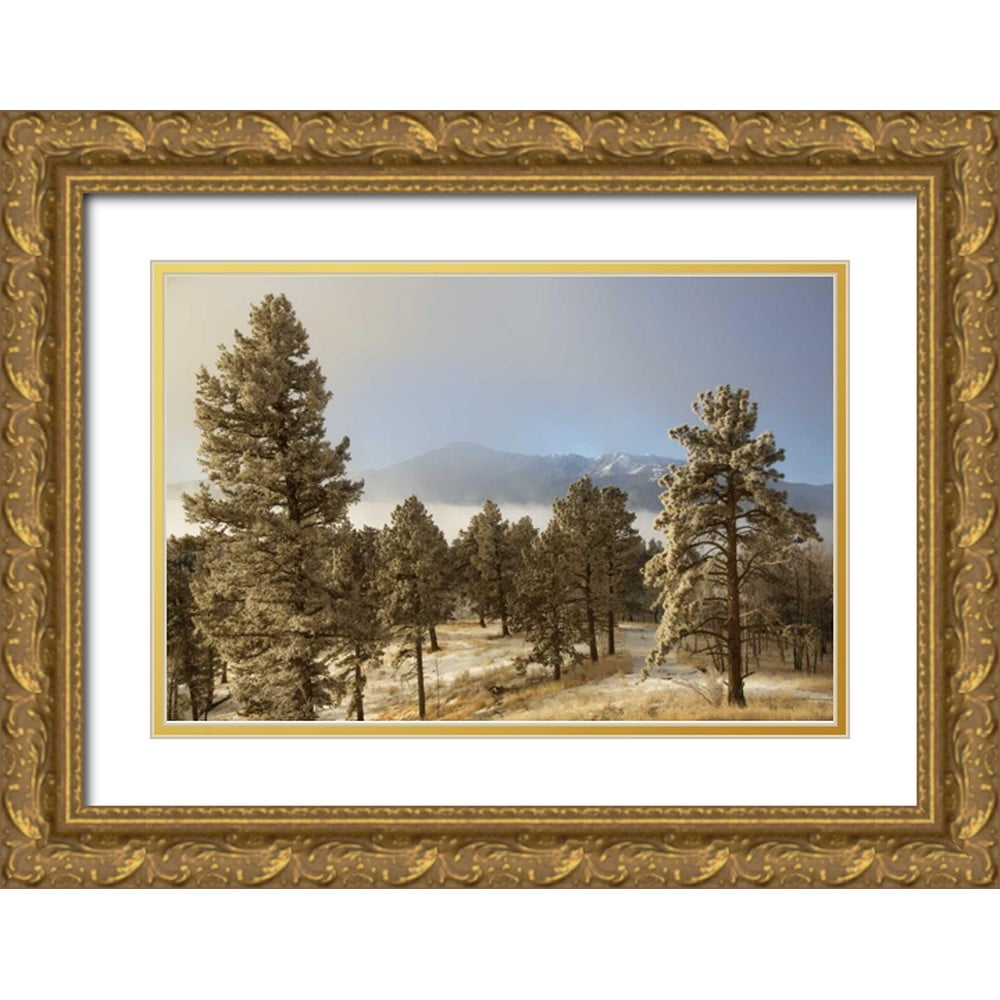 Grall, Don 14x11 Gold Ornate Wood Framed with Double Matting Museum Art ...