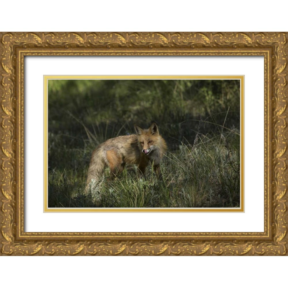 Grall, Don 14x11 Gold Ornate Wood Framed with Double Matting Museum Art ...