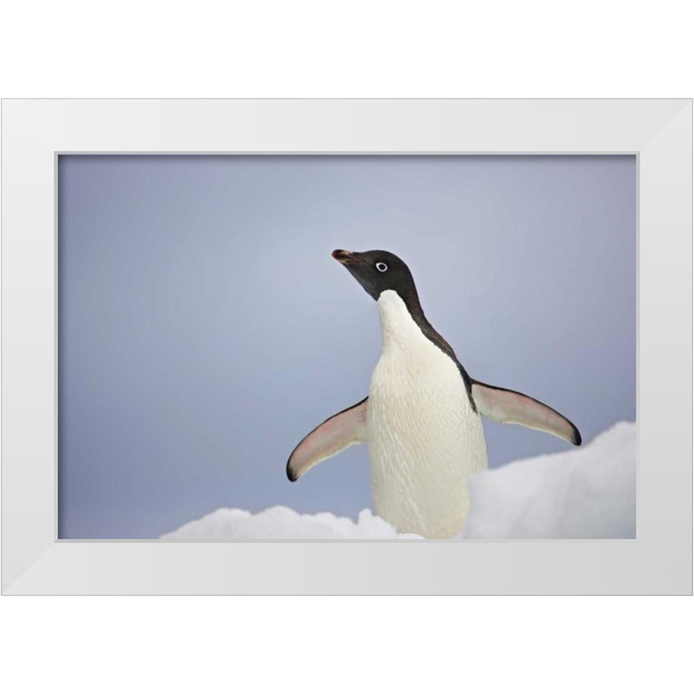 Grall, Don 14x11 White Modern Wood Framed Museum Art Print Titled ...