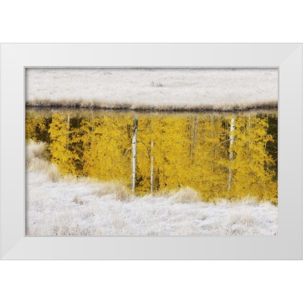 Grall, Don 14x11 White Modern Wood Framed Museum Art Print Titled - CO ...