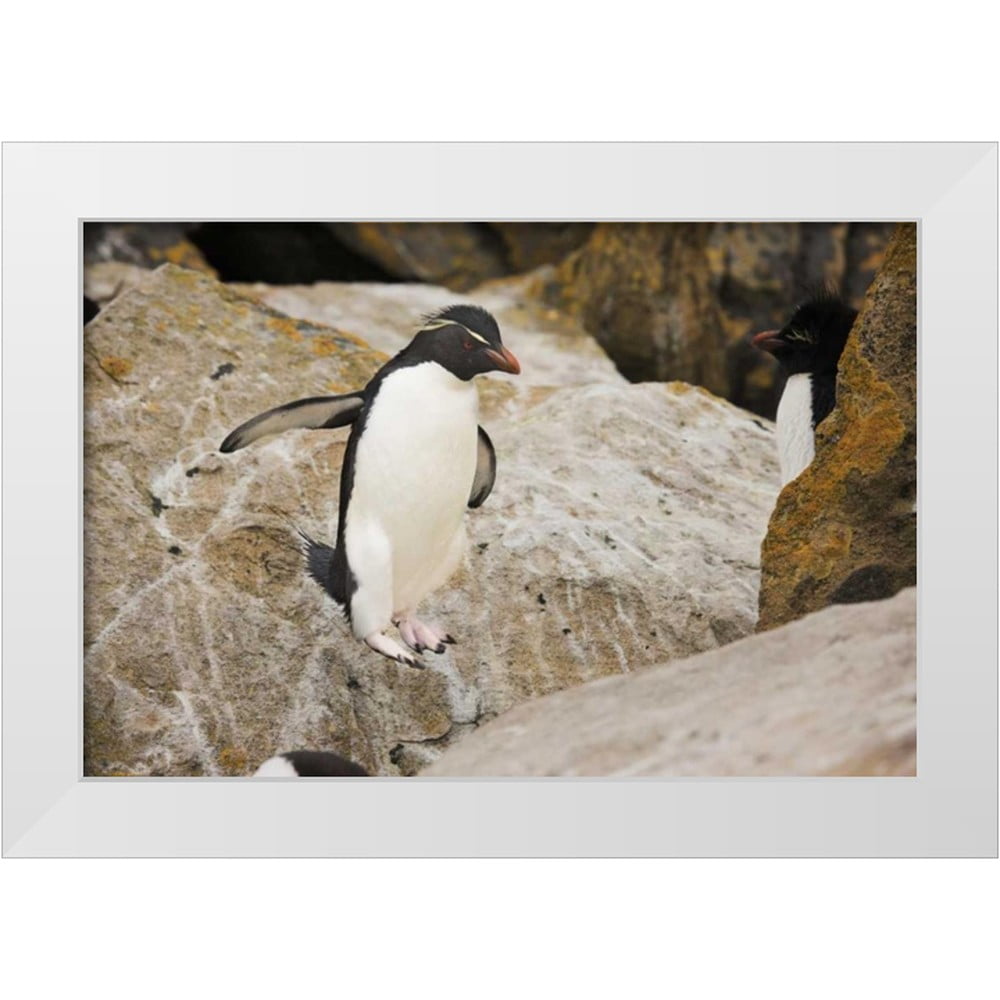 Grall, Don 14x11 White Modern Wood Framed Museum Art Print Titled - New ...