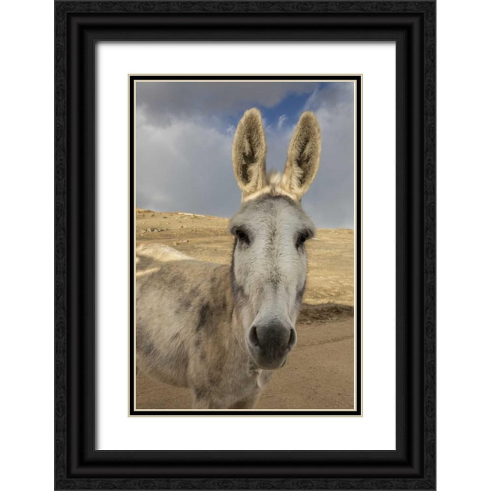 Grall, Don 17x24 Black Ornate Wood Framed with Double Matting Museum ...