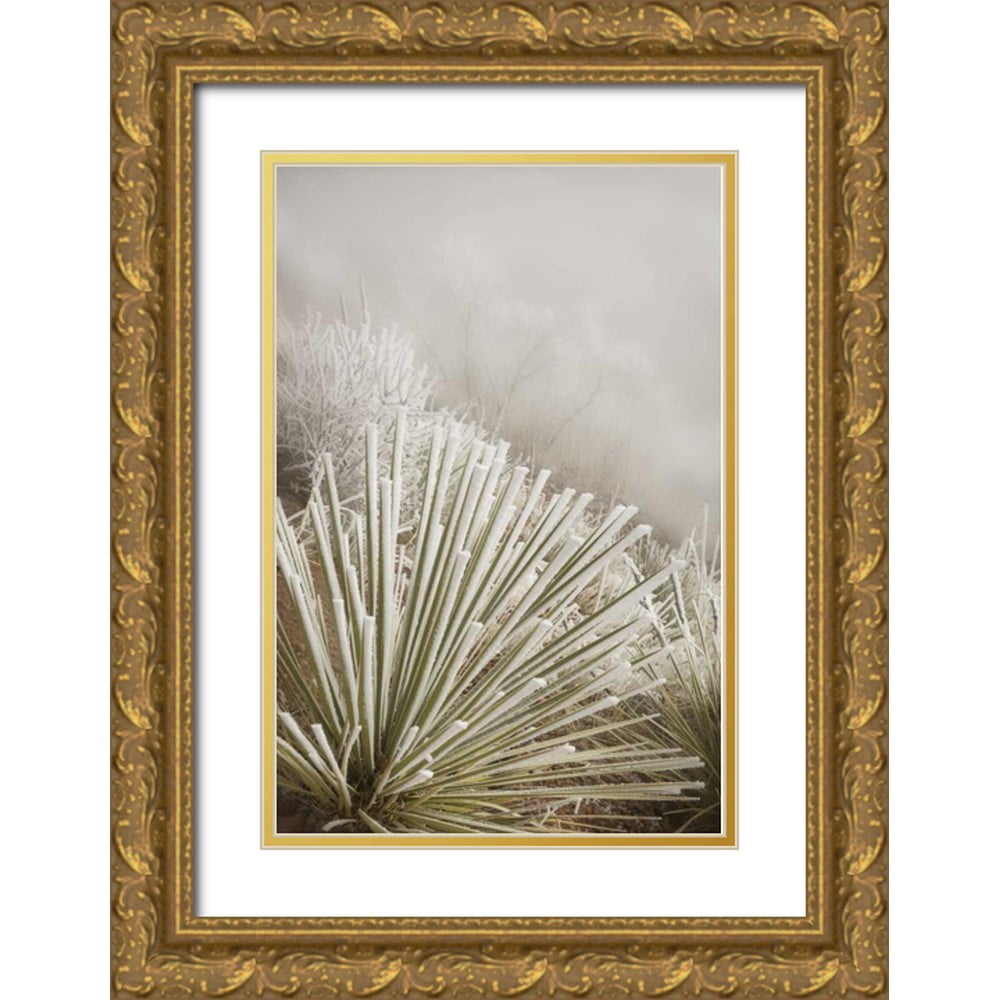 Grall, Don 17x24 Gold Ornate Wood Framed with Double Matting Museum Art ...