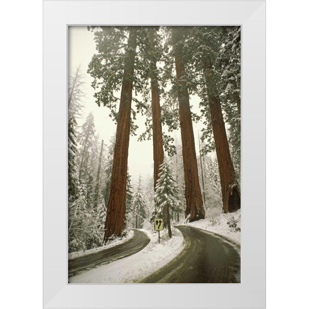 Grall, Don 17x24 White Modern Wood Framed Museum Art Print Titled - CA ...
