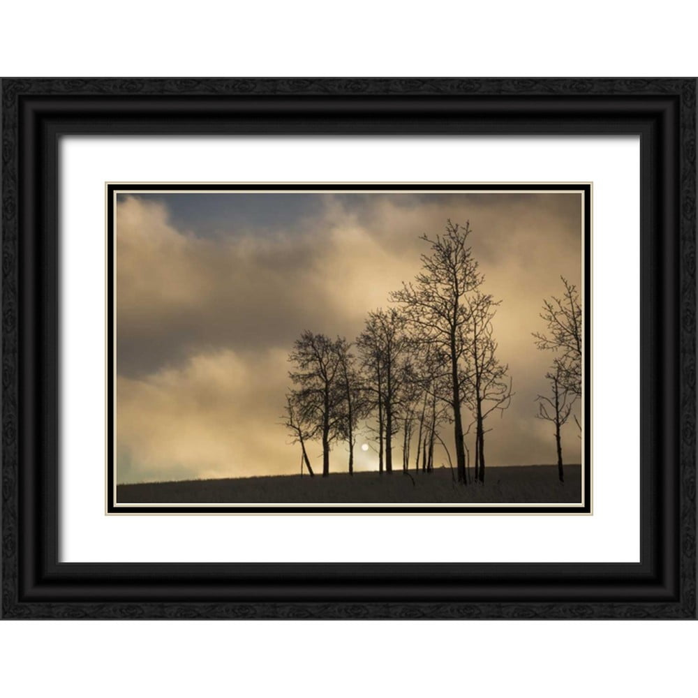 Grall, Don 24x17 Black Ornate Wood Framed with Double Matting Museum ...