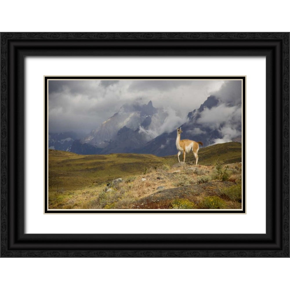 Grall, Don 24x17 Black Ornate Wood Framed with Double Matting Museum ...