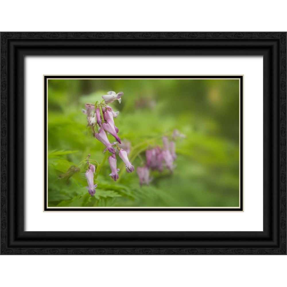 Grall, Don 24x17 Black Ornate Wood Framed with Double Matting Museum ...