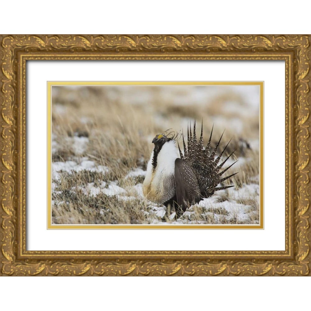 Grall, Don 24x17 Gold Ornate Wood Framed with Double Matting Museum Art ...