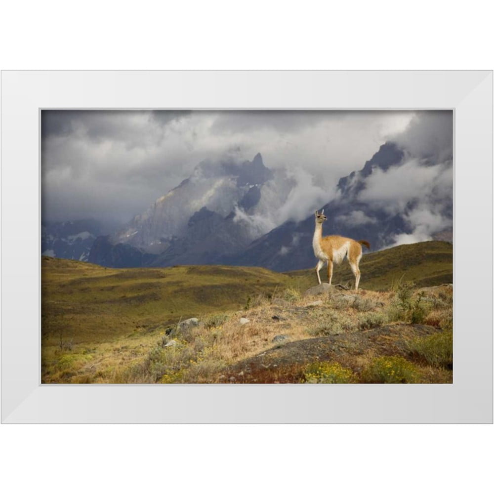 Grall, Don 24x17 White Modern Wood Framed Museum Art Print Titled ...