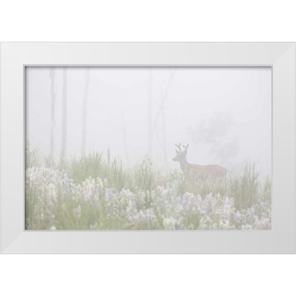 Grall, Don 24x17 White Modern Wood Framed Museum Art Print Titled ...