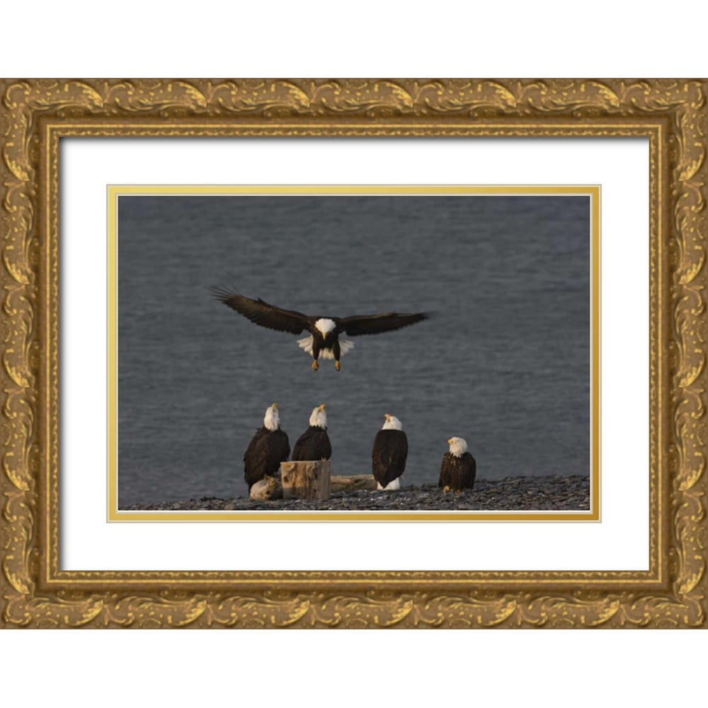 Grall, Don 32x23 Gold Ornate Wood Framed with Double Matting Museum Art ...