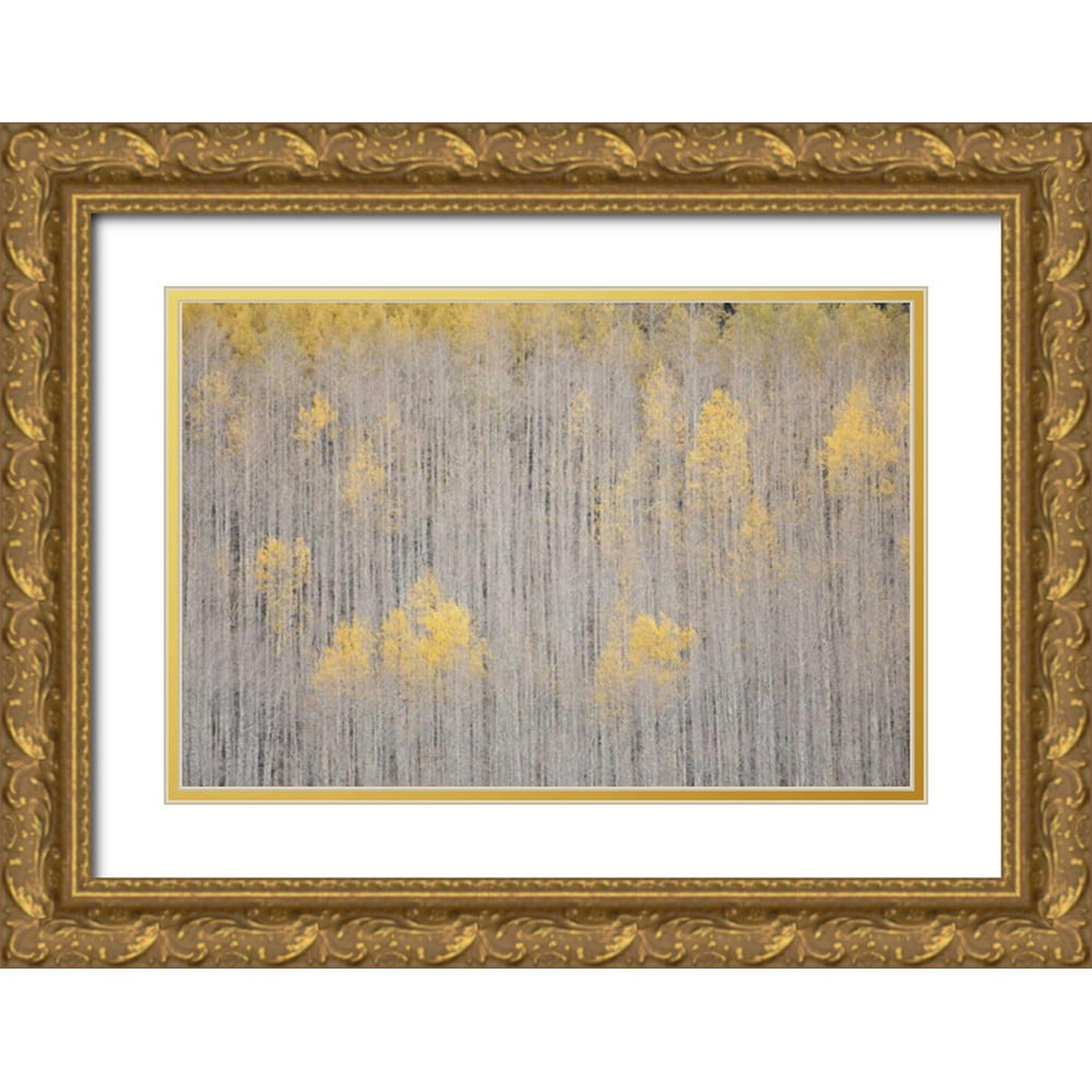 Grall, Don 32x23 Gold Ornate Wood Framed with Double Matting Museum Art Print Titled - CO, White ...
