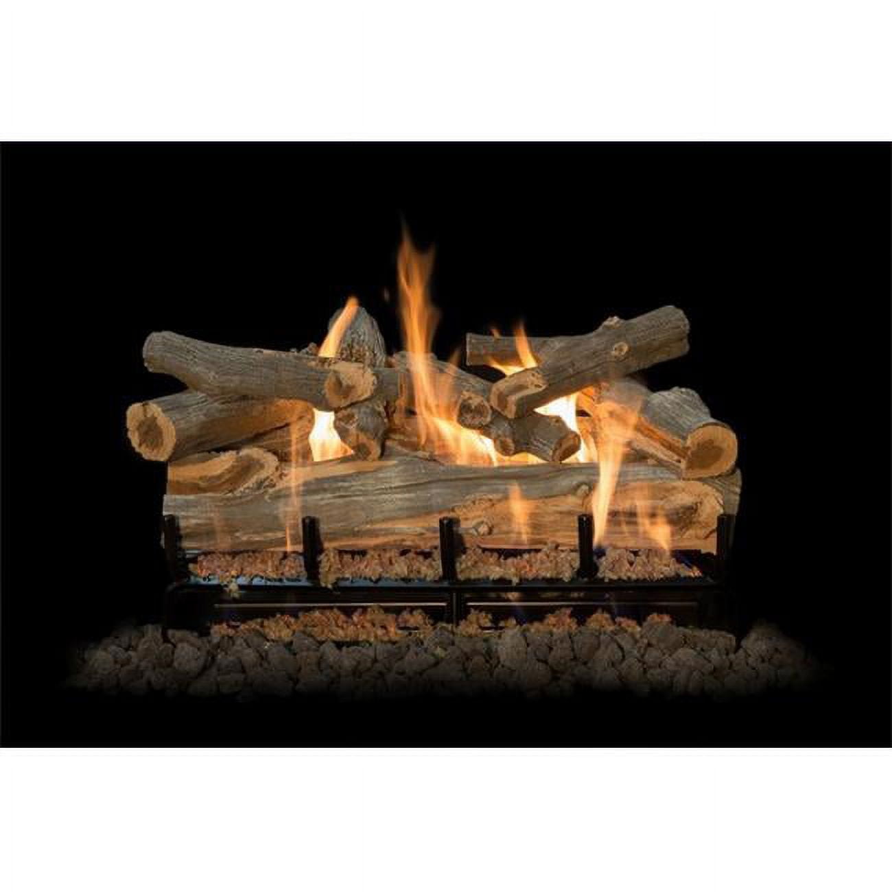 Grand Canyon Gas Logs AJ30LOGS-3BRN-30 Arizona Juniper Logs with 3 ...
