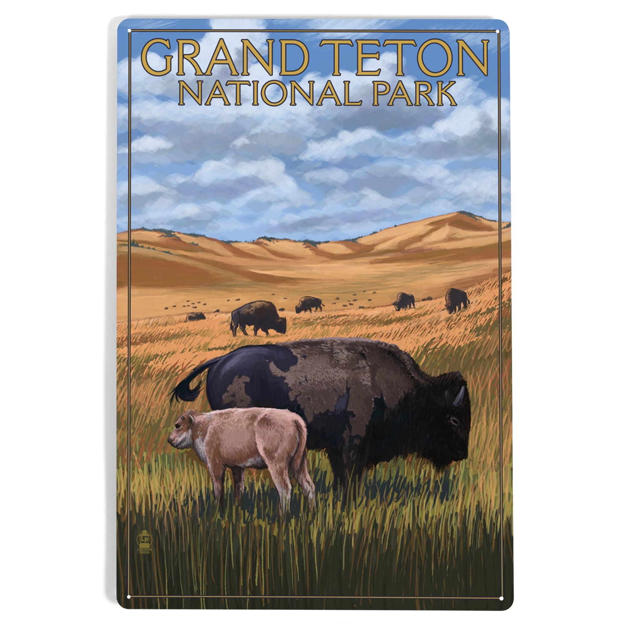 Grand Teton National Park, Buffalo and Calf (12x18 Aluminum Art, Indoor ...