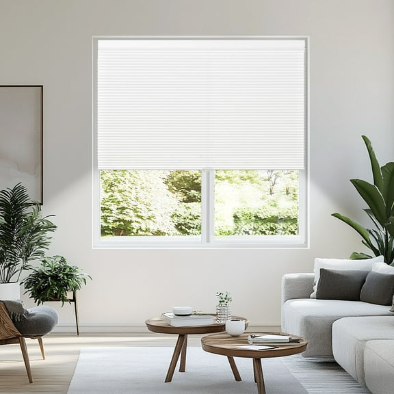 Grandekor Window Blinds and Shdes Cordless Cellular Shades, Beige ...