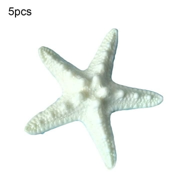Farfi Simulation Starfish Lifelike Realistic Plastic Cute Artificial ...