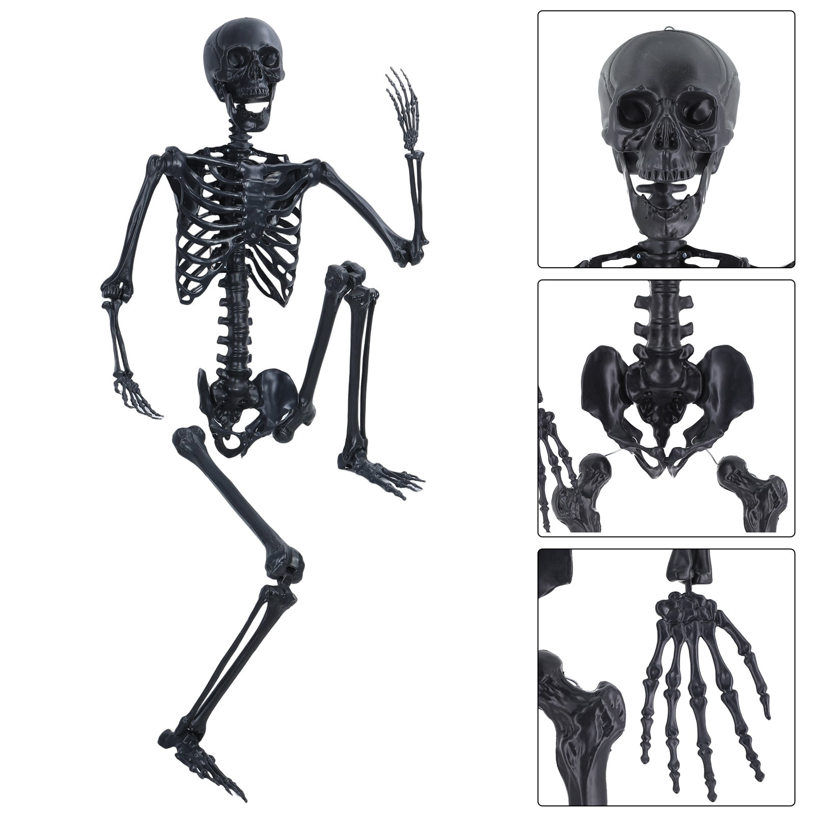Grandest Birch 5ft/165cm Halloween Skeleton, Full Body Skeleton, Life ...
