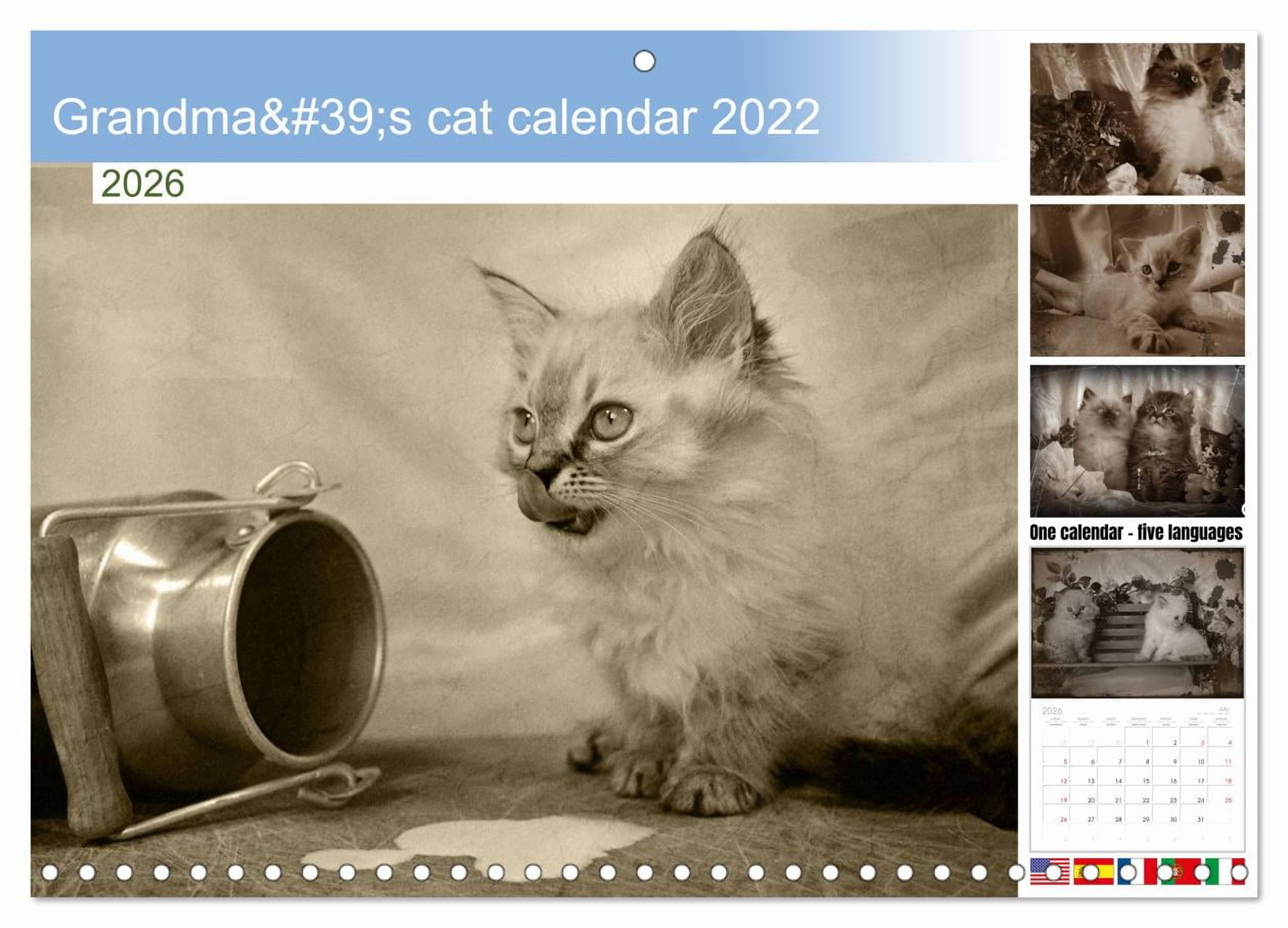 Grandma's cat calendar 2022 (Monthly Wall Calendar 2026 11.7 x 16.5 ...