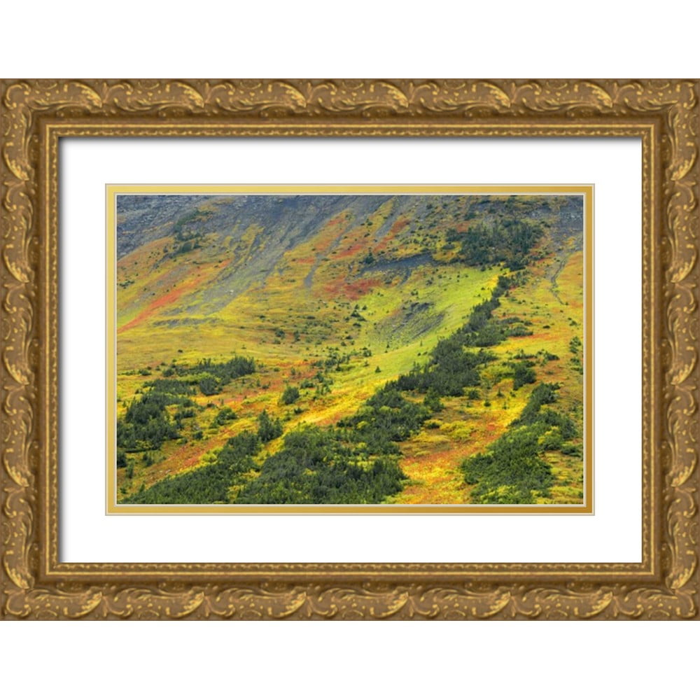 Grandmaison, Mike 14x11 Gold Ornate Wood Framed with Double Matting ...