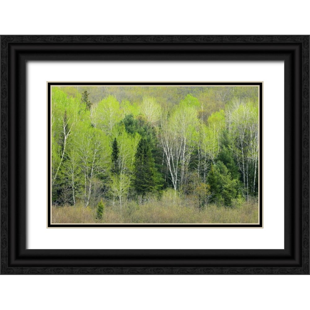 Grandmaison, Mike 18x13 Black Ornate Wood Framed with Double Matting ...