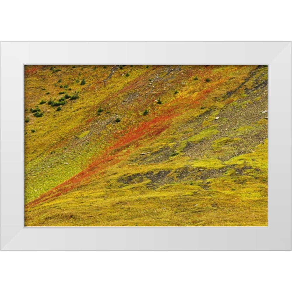 Grandmaison, Mike 18x13 White Modern Wood Framed Museum Art Print ...