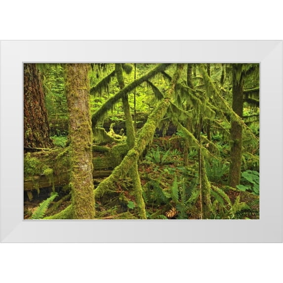Grandmaison, Mike 18x13 White Modern Wood Framed Museum Art Print ...