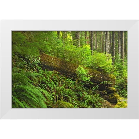 Grandmaison, Mike 18x13 White Modern Wood Framed Museum Art Print ...