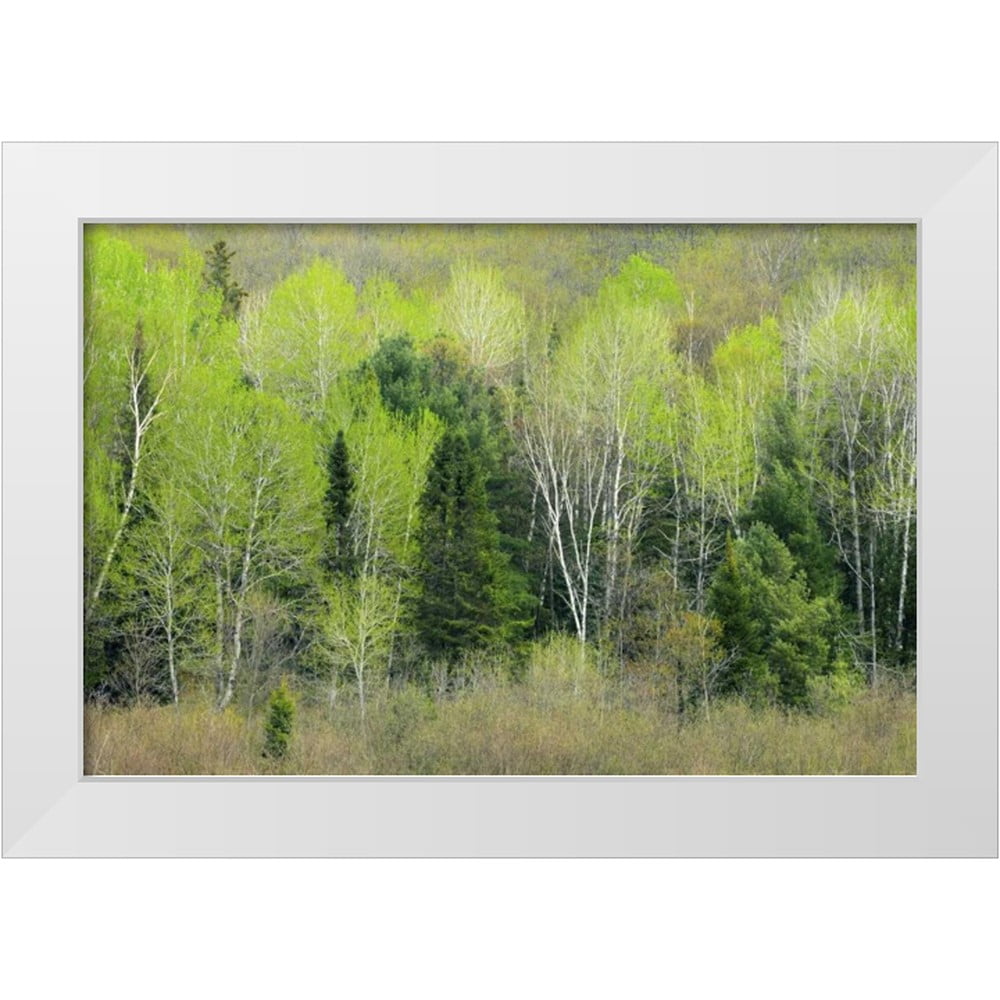 Grandmaison, Mike 18x13 White Modern Wood Framed Museum Art Print ...