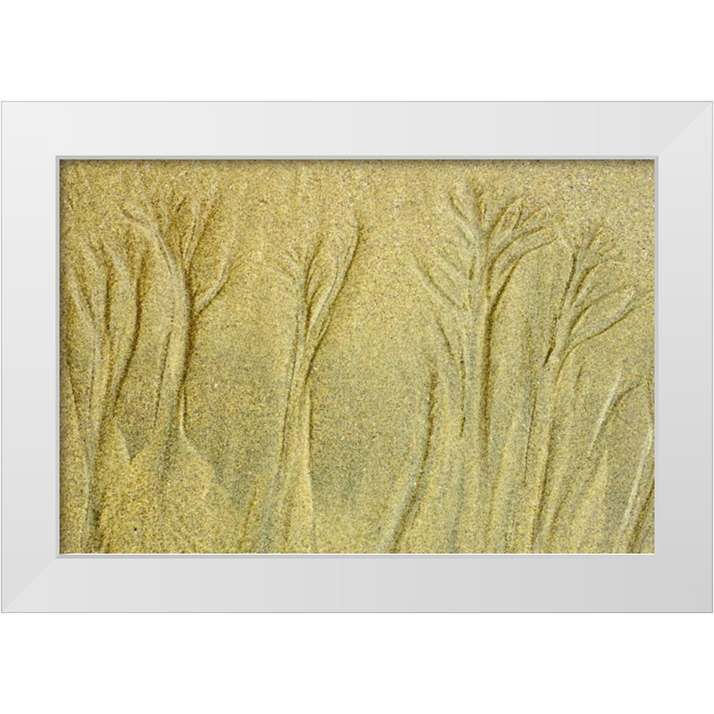 Grandmaison, Mike 18x13 White Modern Wood Framed Museum Art Print ...