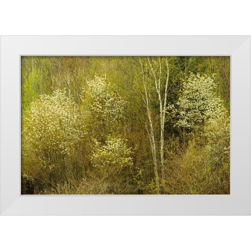 Grandmaison, Mike 18x13 White Modern Wood Framed Museum Art Print ...