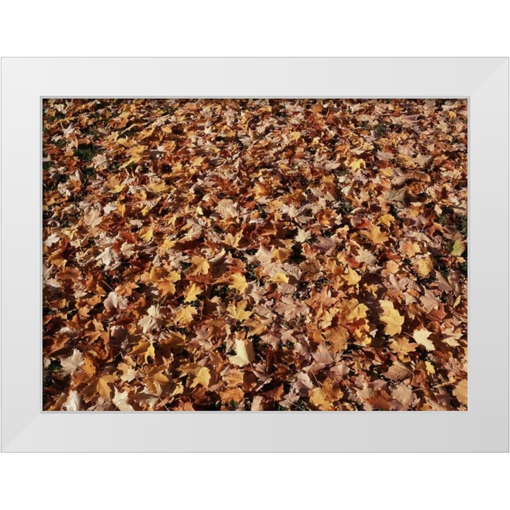 Grandmaison, Mike 18x14 White Modern Wood Framed Museum Art Print ...