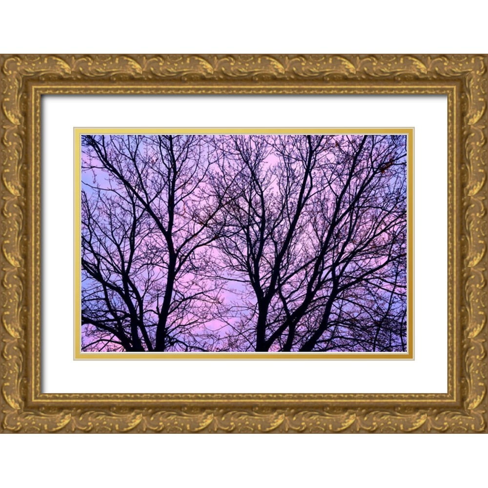 Grandmaison, Mike 24x17 Gold Ornate Wood Framed with Double Matting ...