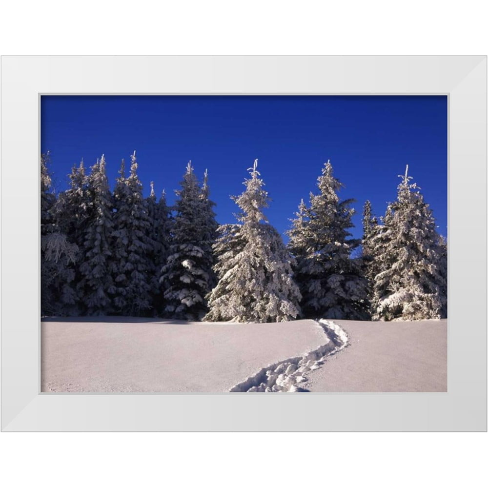 Grandmaison, Mike 24x19 White Modern Wood Framed Museum Art Print ...
