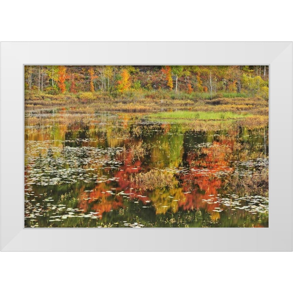 Grandmaison, Mike 32x23 White Modern Wood Framed Museum Art Print ...