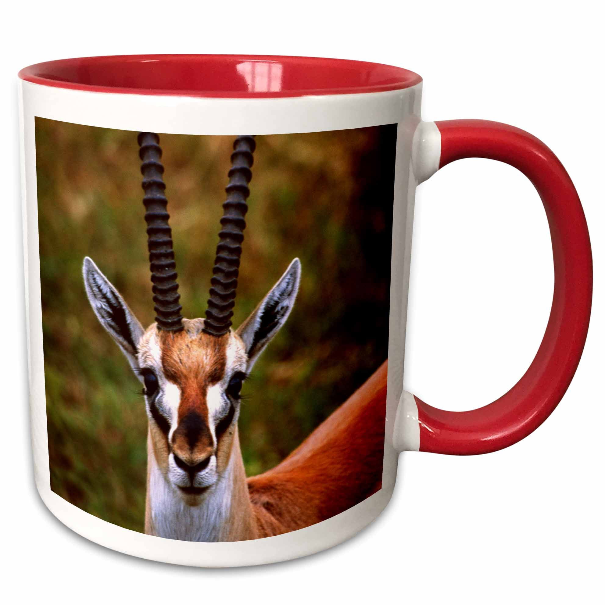 3drose, Grants Gazelle, Antelope, Tanzania Africa - Na02 Dno0356 ...