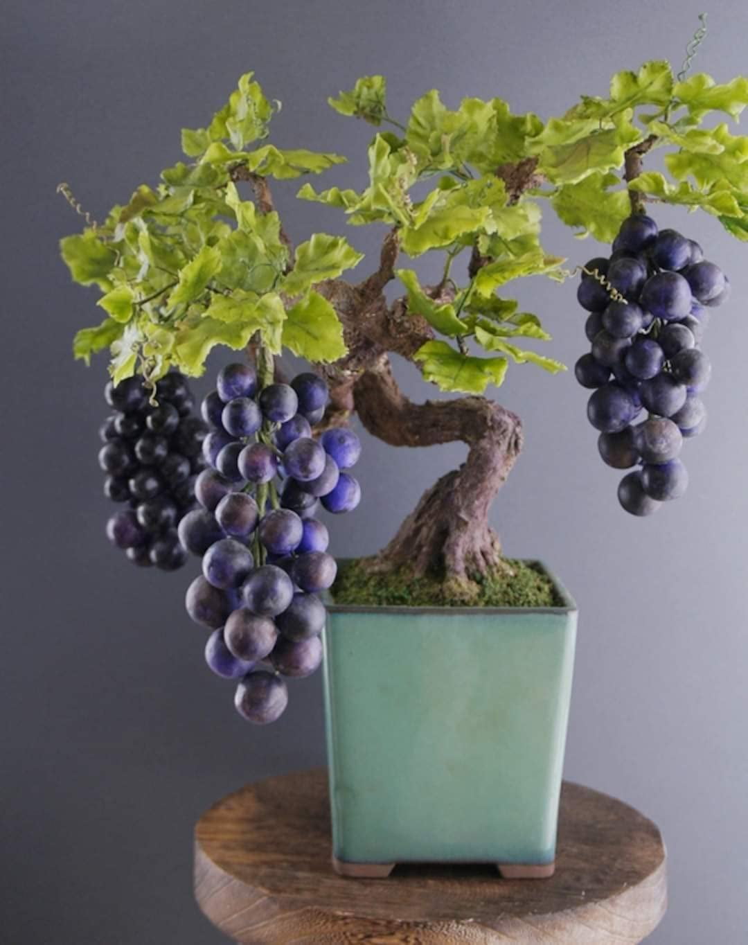 CZ Grain 50 Grape Bonsai Tree Vitis Vinifera Plant Seeds - Walmart.com