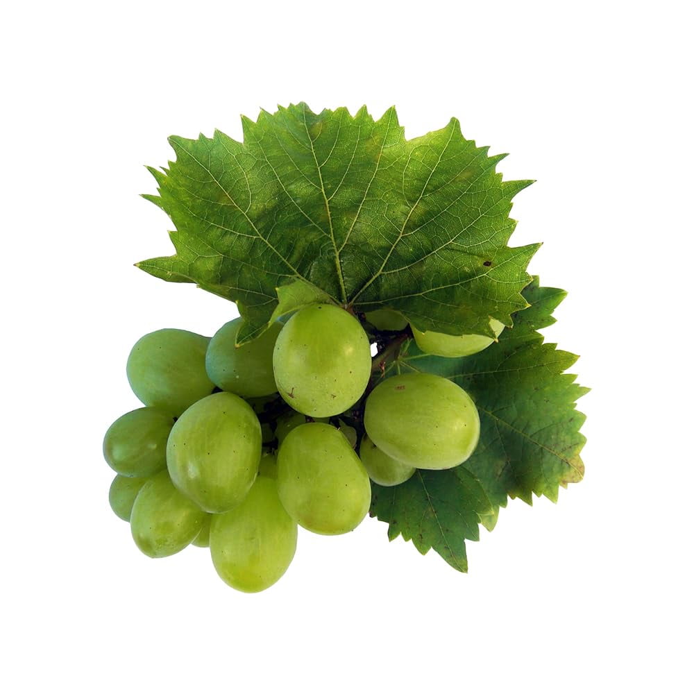 Grape Flavoring Extract for Baking, Flavor Pies, Fillings, Sauces ...
