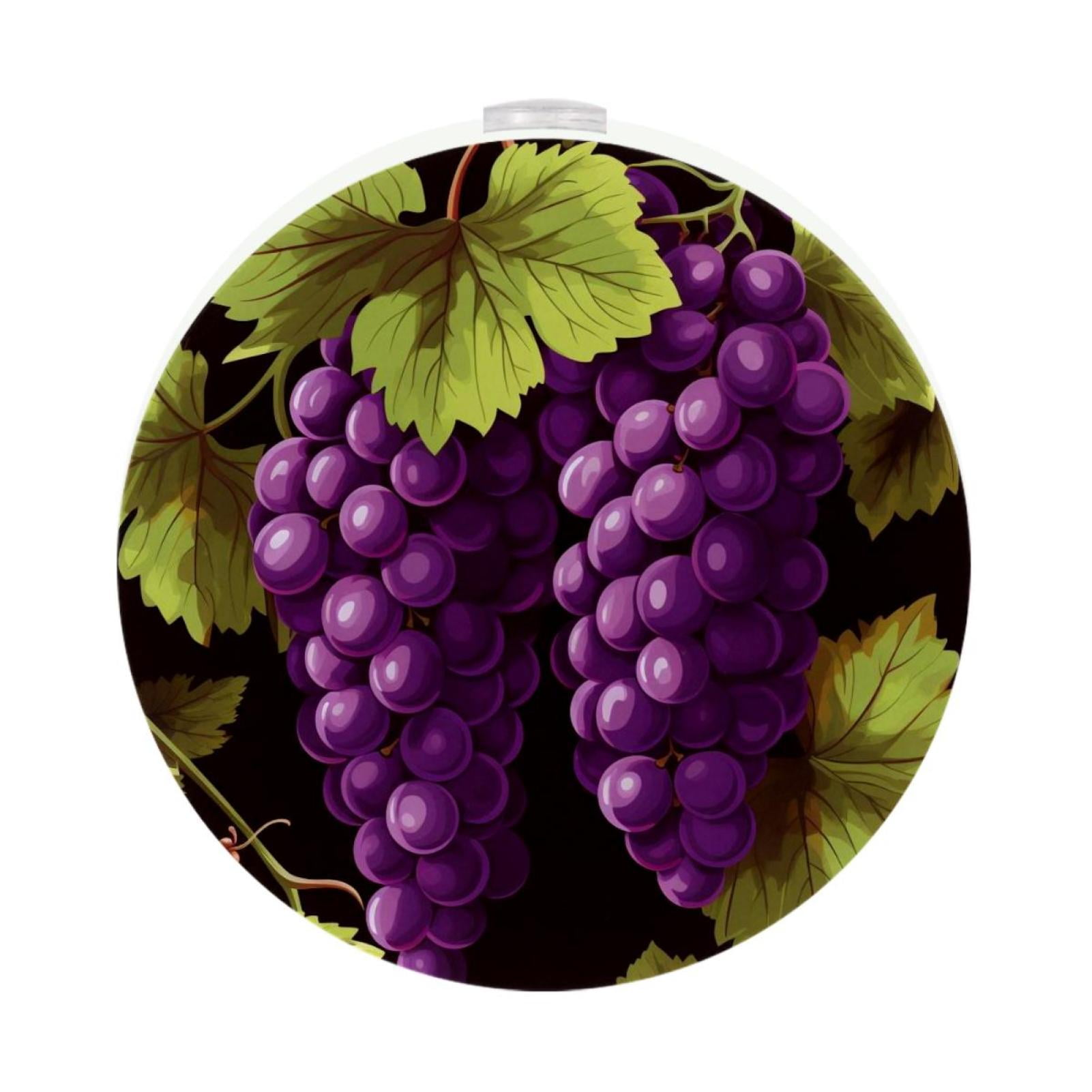 Grape LED Round Night Light-2PCS: Bright and Energy Efficient ...