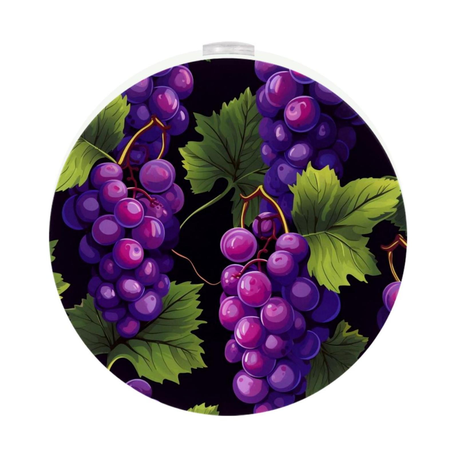 Grape LED Round Night Light-2PCS, Dimmable Plug-in Circle Wall Lamp ...