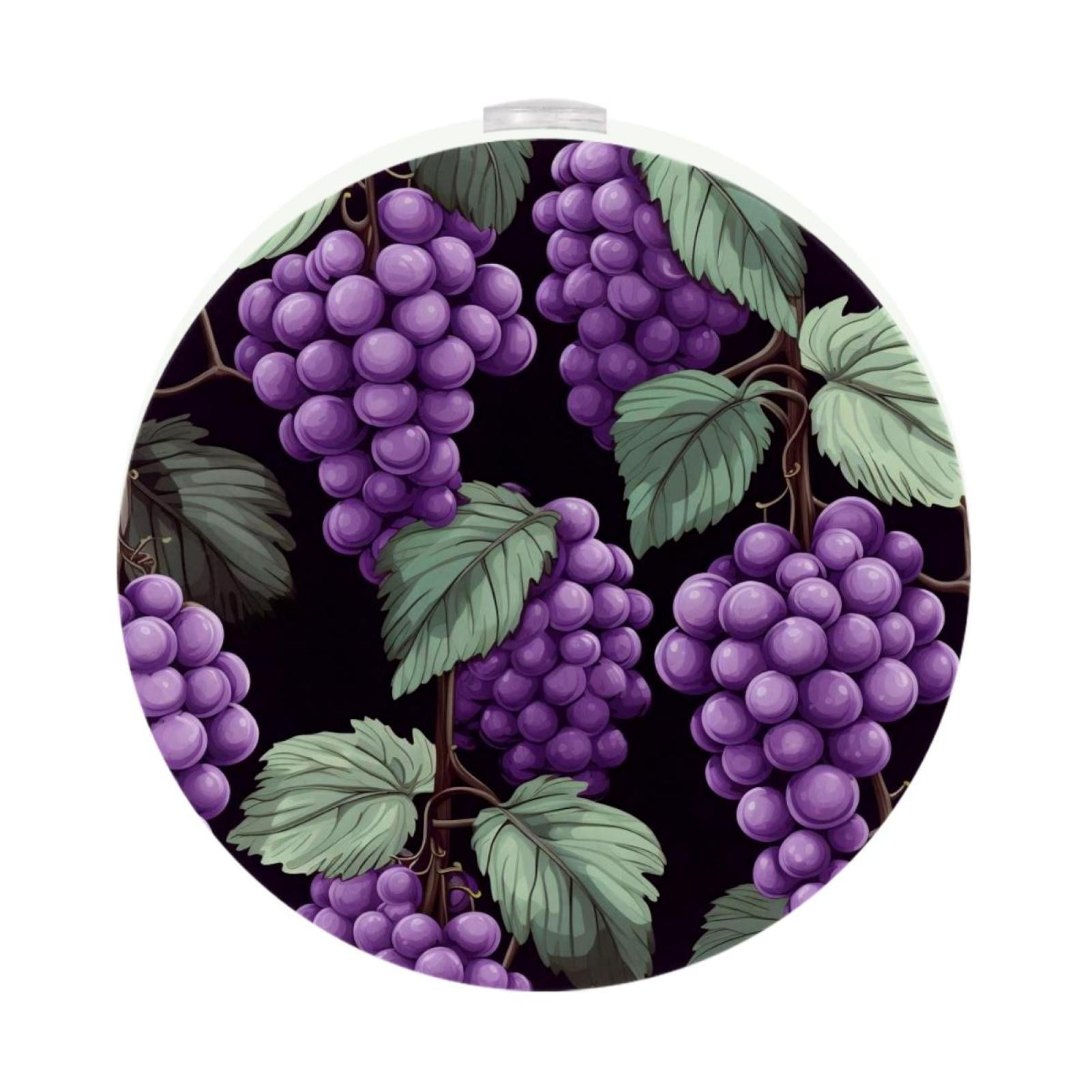 Grape LED Round Night Light-2PCS: Wireless & Portable Small Lights for ...