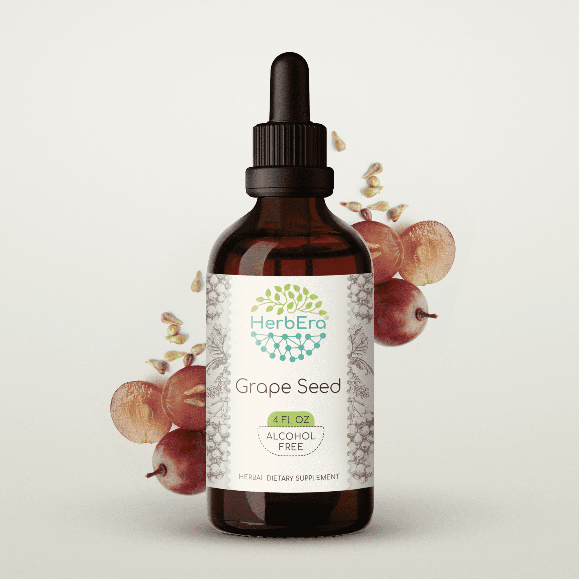 HerbEra Grape Seed Tincture, Herbal Dietary Supplement for Antioxidant ...