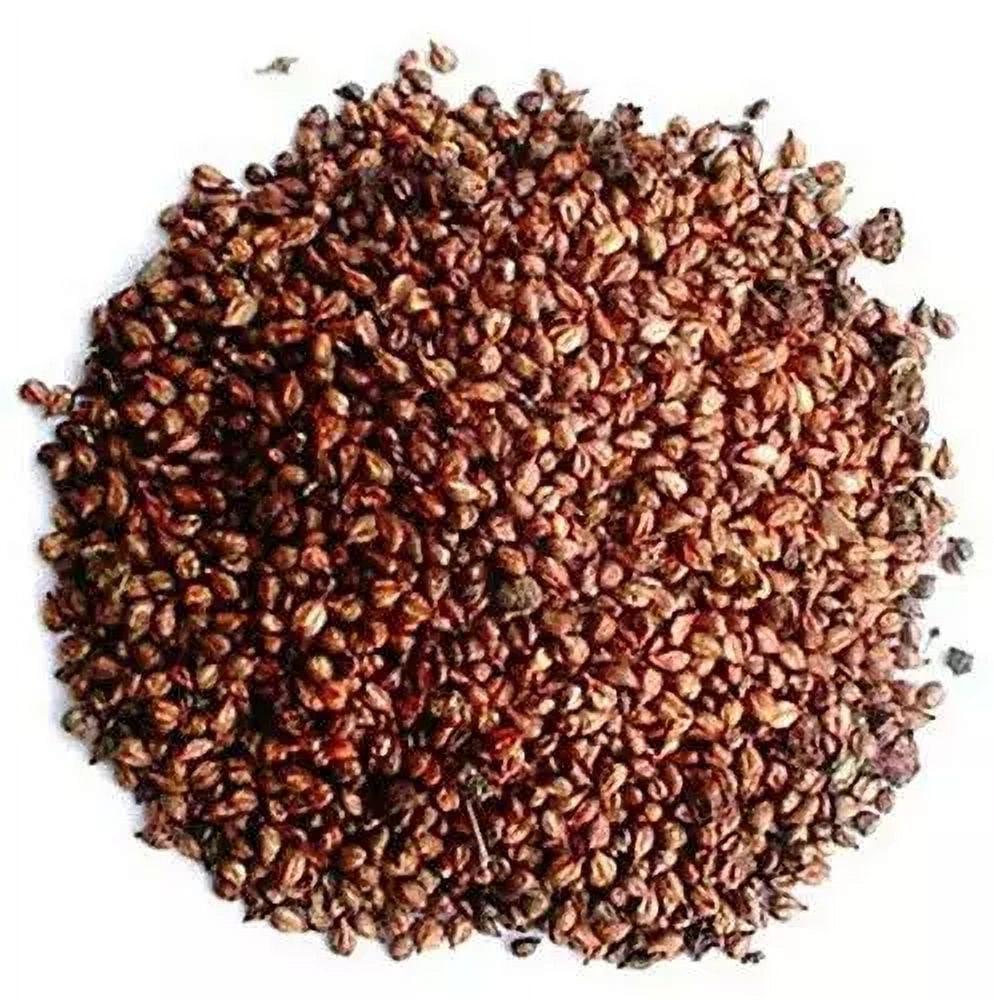 Grape Seed (Angoor Seeds/Angur Beej) – Premium Dried Grape Seed Herbs ...