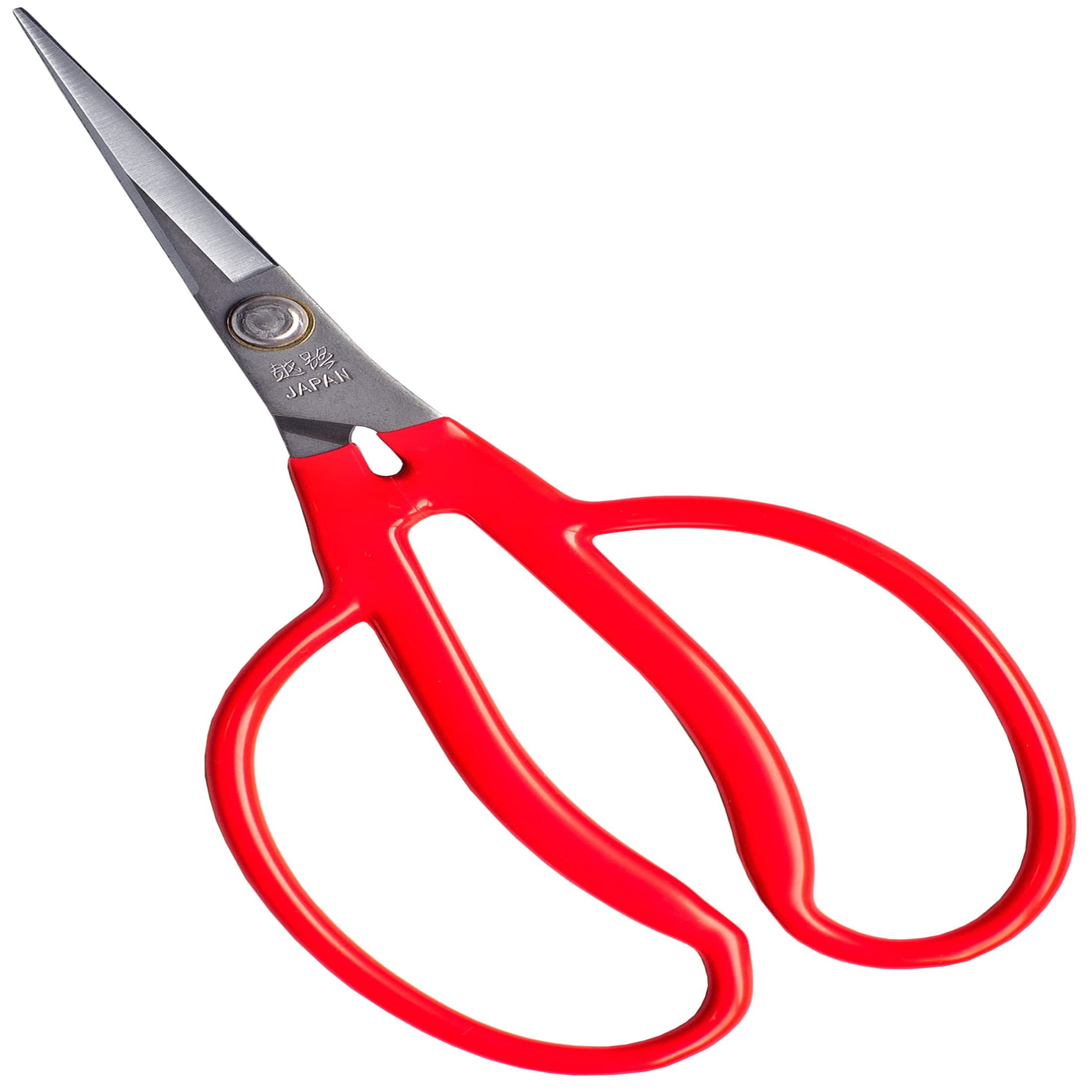 Grape Trim Pro Scissors with Sharp Stainless Steel Tips - Walmart.com