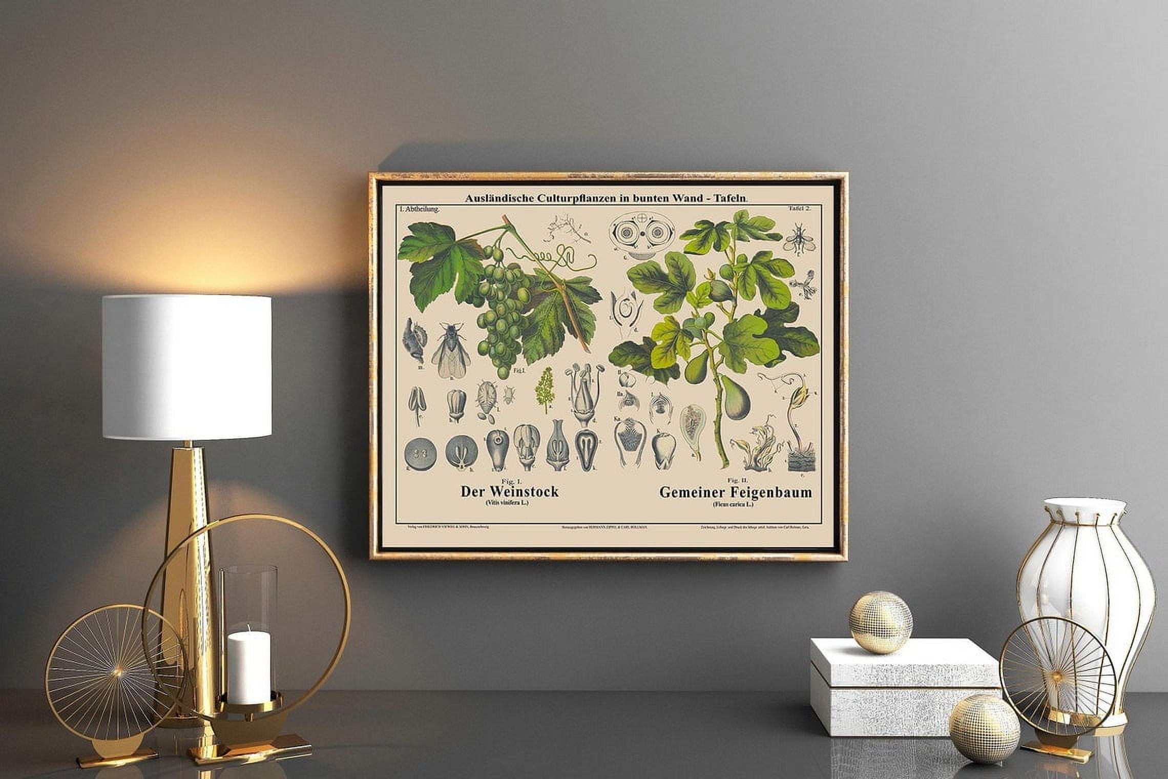 Grape Vine Botanical Print Grape Decor Fig Tree Botanical Art ,Decor ...