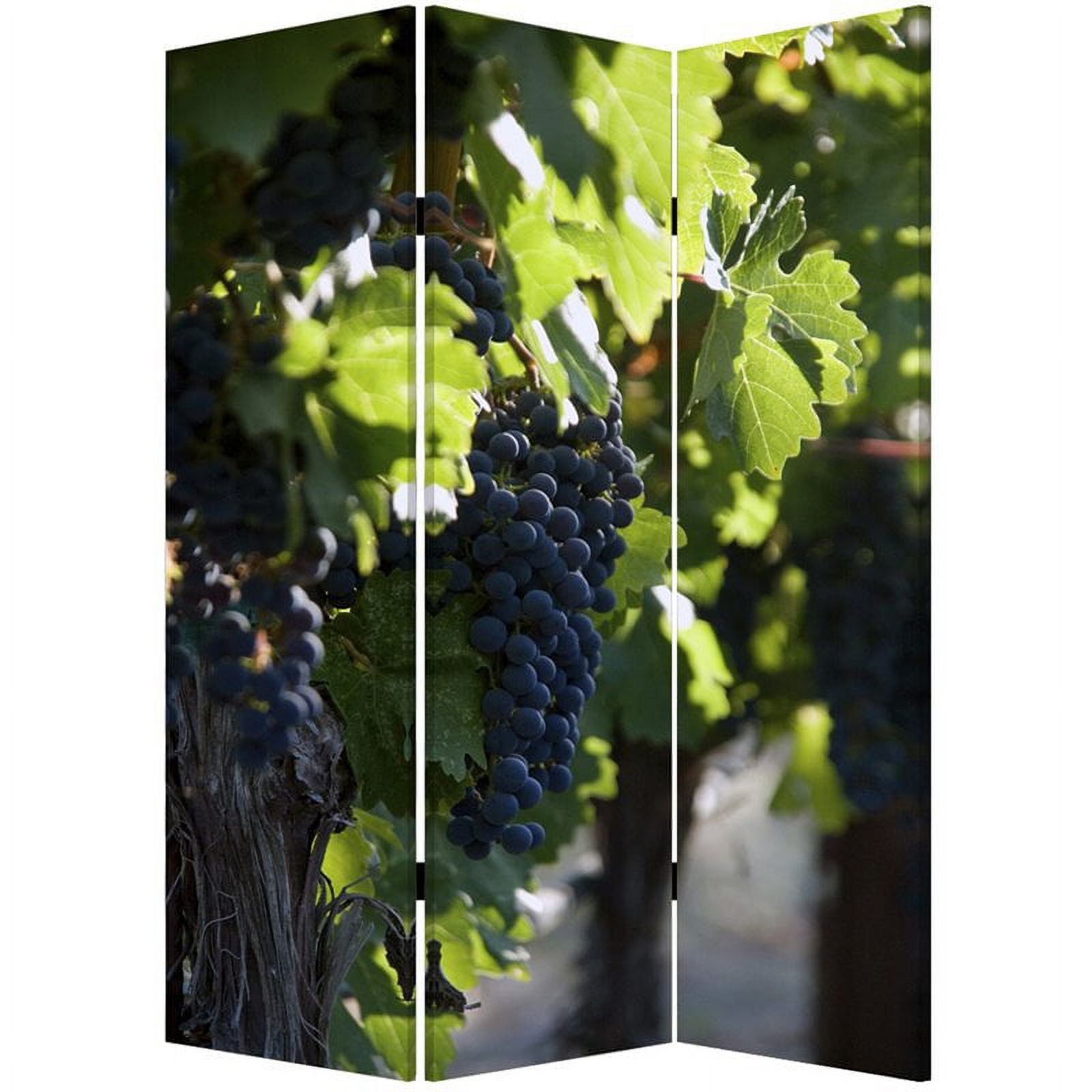Grape Vine Print Foldable Canvas Screen with 3 Panels in Multicolor ...