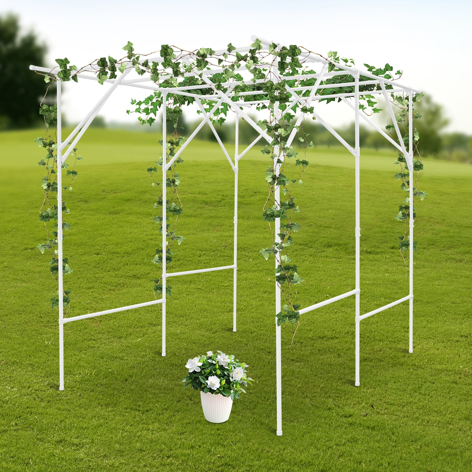Grape Vine Trellis, Garden Trellis for Climbing Plants, Plant Support ...