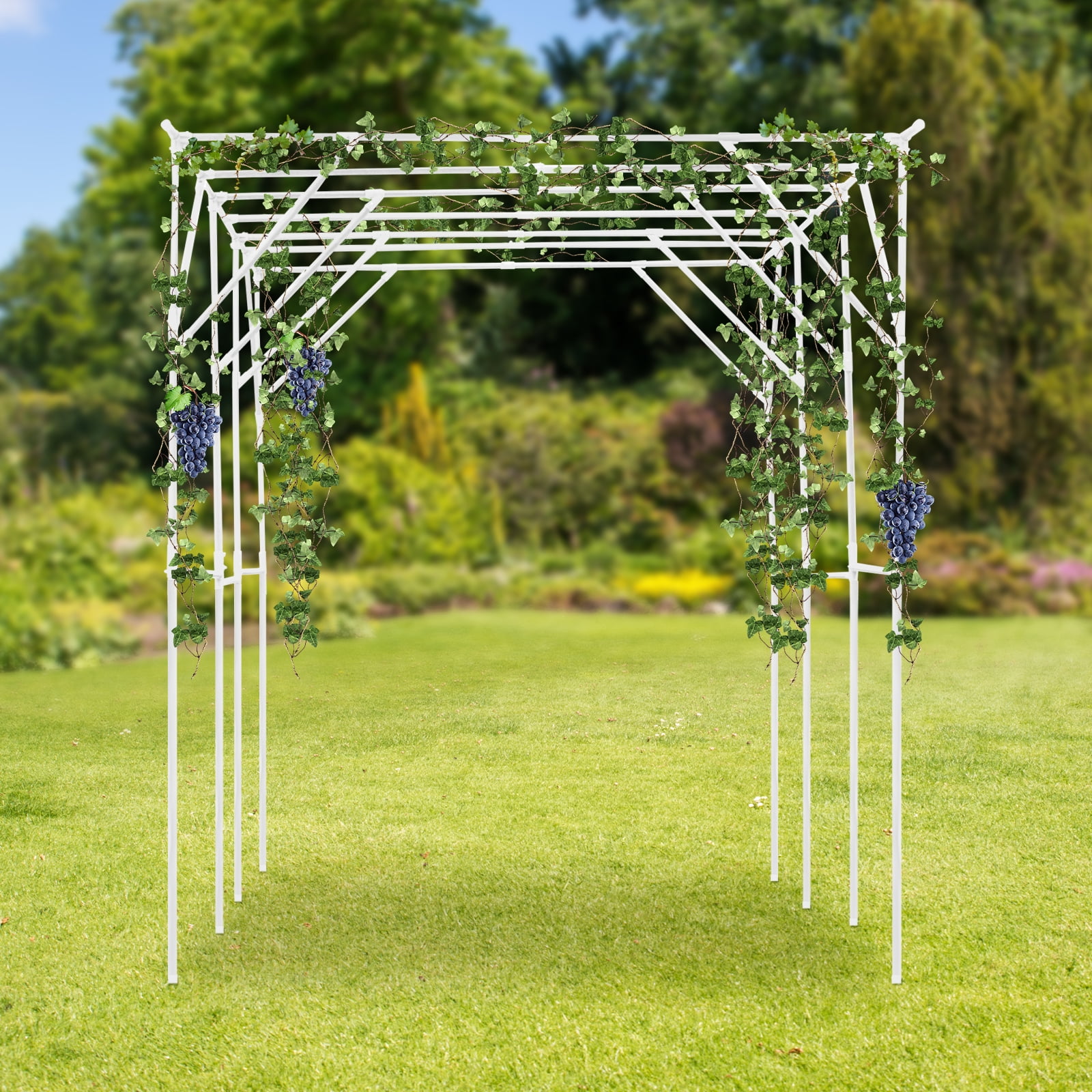Grape Vine Trellis, Garden Trellis for Climbing Plants, Plant Support Rack Trellises 300*200 ...